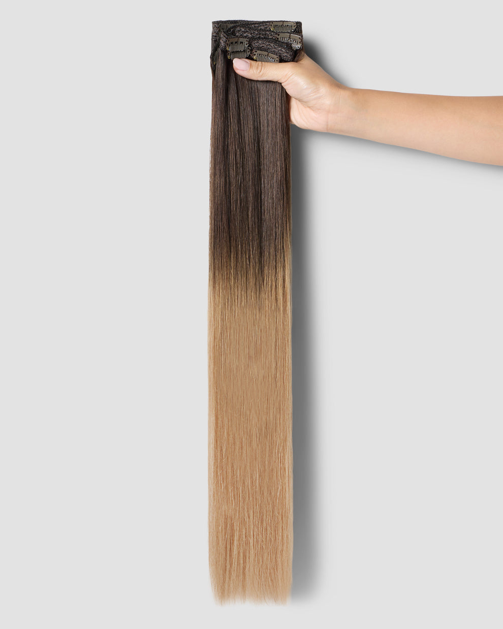 20 Clip In Hair Extensions Sun Kissed 5 Piece Zala Hair