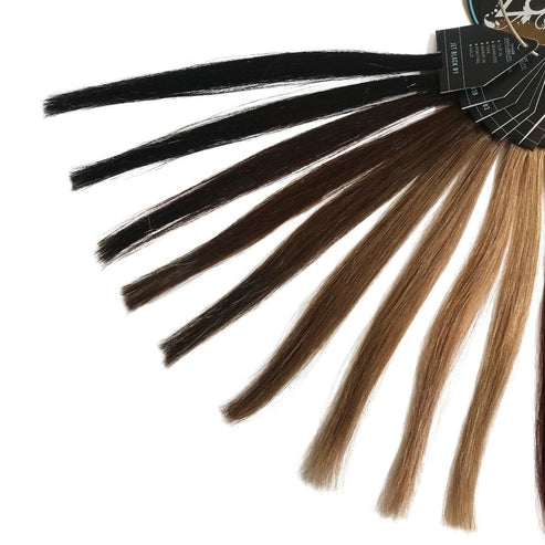 Hair Color Wheel – Zala Hair